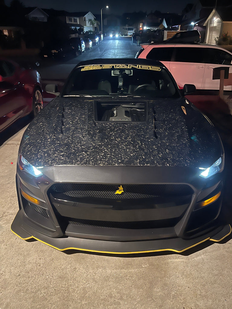 CMST Tuning Glass Transparent Hood for Ford Mustang S550.2 2018-ON ...